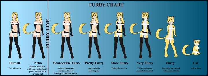 furry和人外有什么区别？ - 知乎