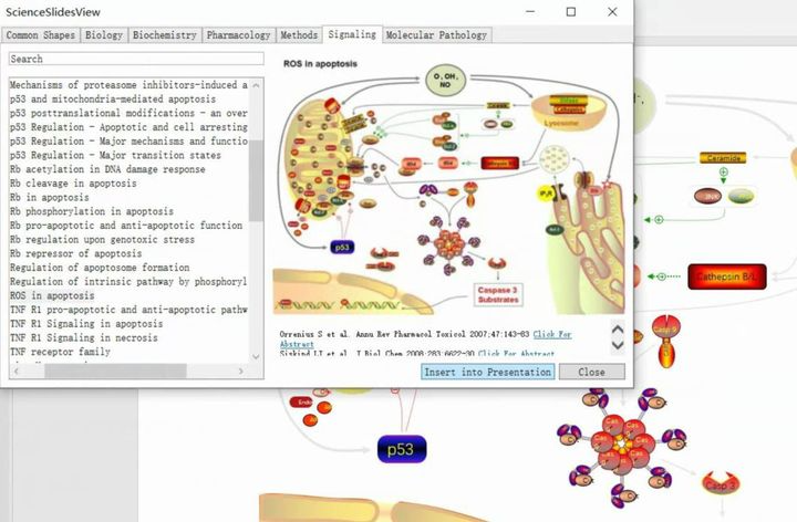 现在很多sci的期刊都需要Graphical Abstract，如何制作？ - 知乎