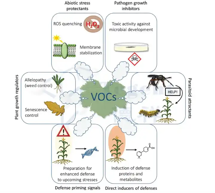 VOC是什么？怎么消除VOC？ - 知乎