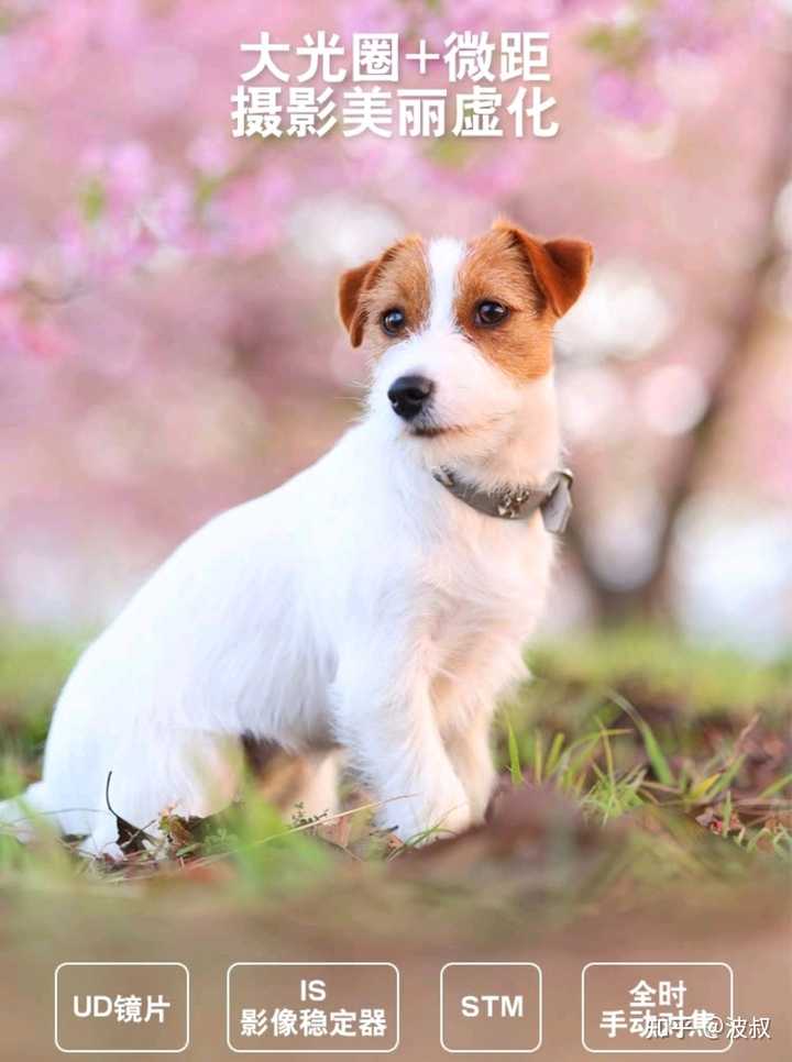 佳能r50和索尼zve10哪个更适合新手拍照？ - 知乎