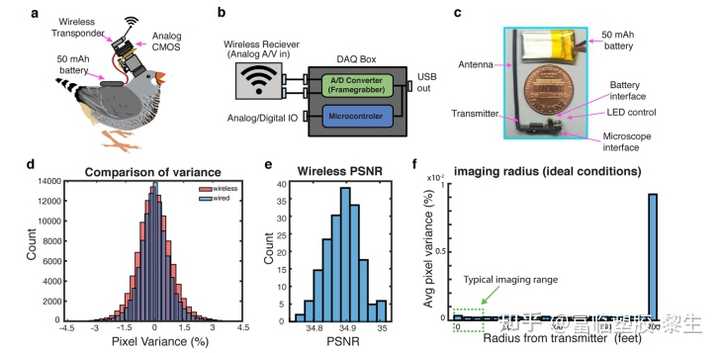 SPM / SEM / TEM / FIB这四种显微镜的区别是什么？ - 知乎