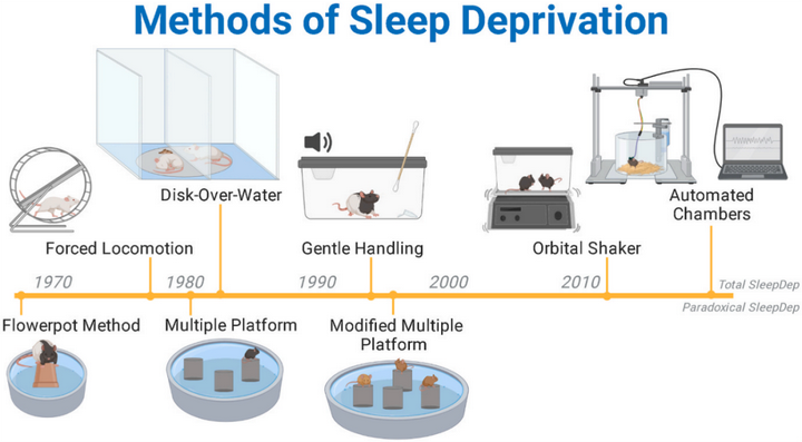 动物实验常用的睡眠剥夺模型有哪些？ - 知乎