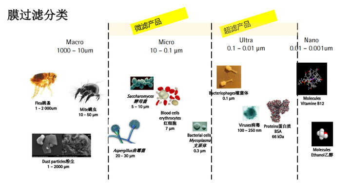 微孔滤膜基本原理与分类是怎样的？ - 知乎
