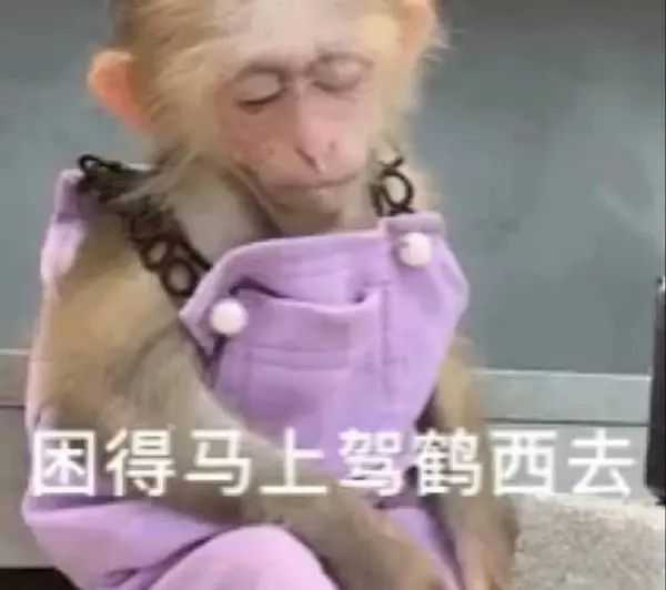 请问大家有没有猴子的表情包？ - 知乎