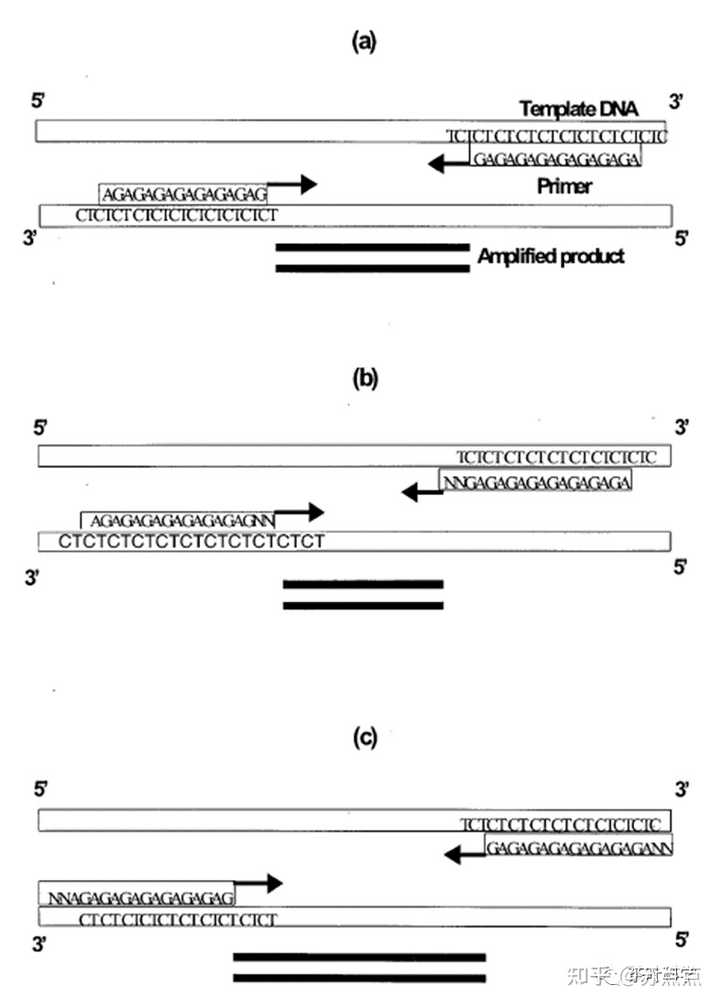 关于ISSR遗传多样，用Popgene软件处理数据数据时，格式是怎么样的，因为格式一直在出错？ - 知乎