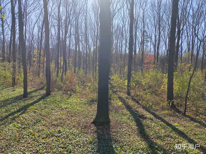 如何评价2024 CCPC 哈尔滨站？ - 知乎