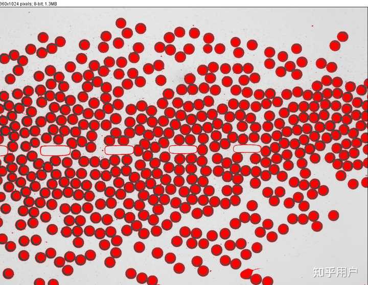 如何用ImageJ统计透射图片中粒子的直径分布？ - 知乎