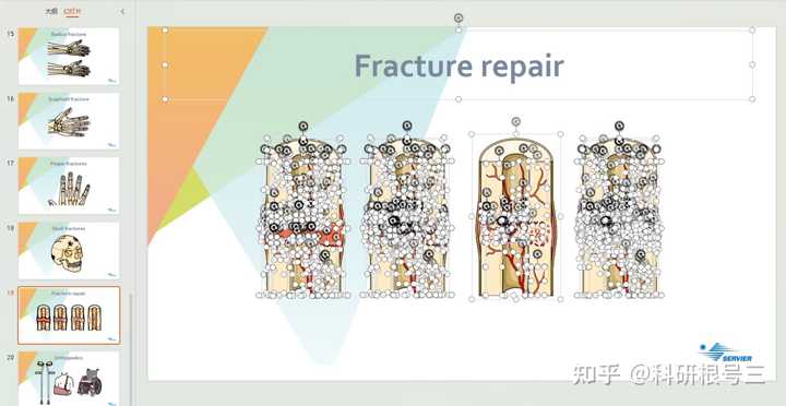 怎么看科研者之家的Figdraw免费在线绘图平台？ - 知乎