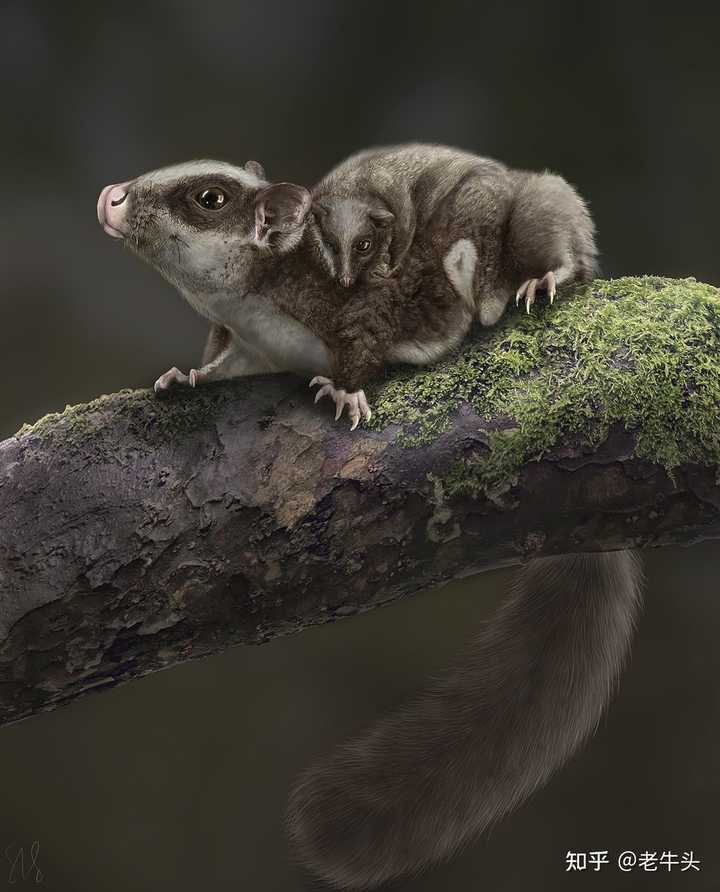仅从长相来看，哪些古生物会很容易被当成「现代生物」？ - 知乎