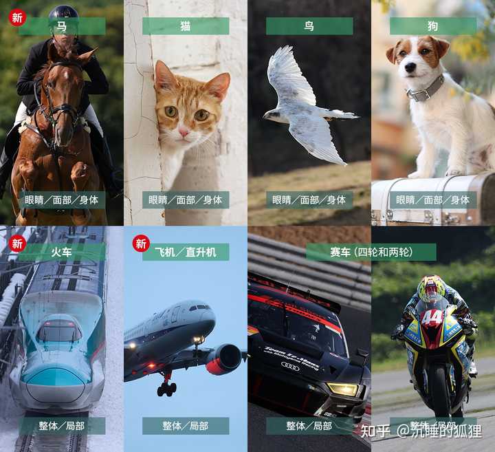 打算入坑r62，镜头该如何选择？ - 知乎