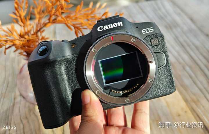 第一台全画幅微单相机佳能r8，尼康z62，松下s52该怎么选？ - 知乎