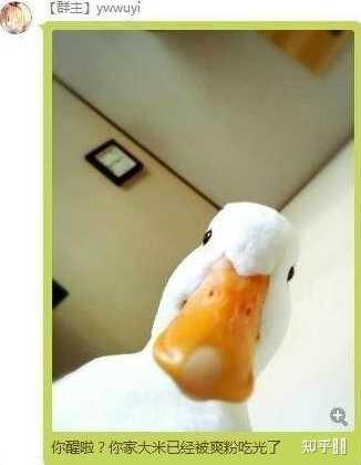 爽哥Ywwuyi到底有多知名？他是一个怎样的人？ - 知乎