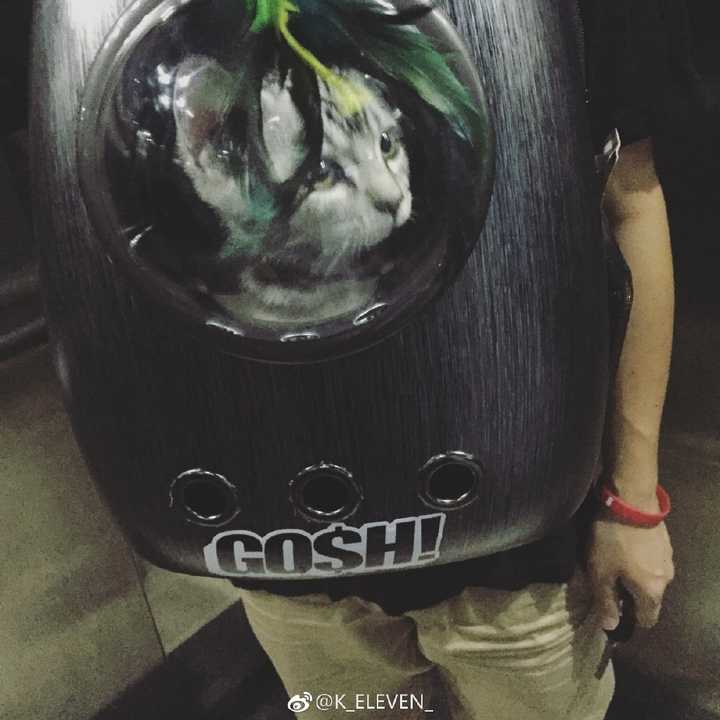 有没有人能够介绍一下gosh的成员？ - 知乎