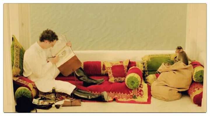 如何评价电影《坠入 / The Fall》？ - 知乎