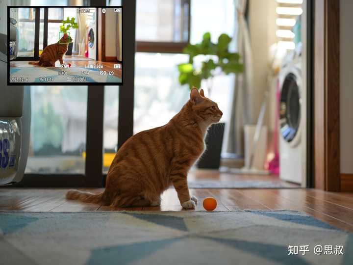 2023年 索尼a7m4和a7r5怎么选择？ - 知乎