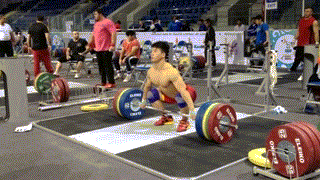 举重训练 什么是Snatch Pull/High Pull/Panda Pull/Fast Pull？ - 知乎