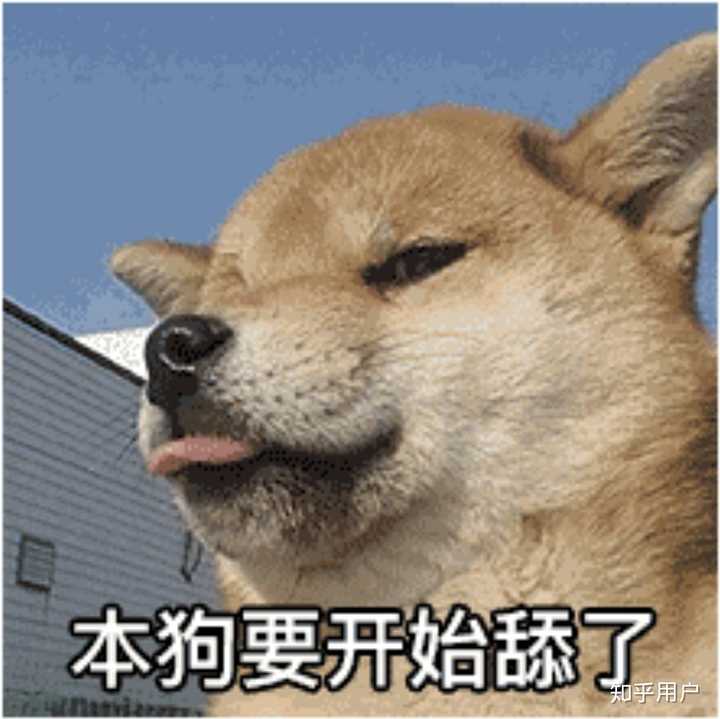 你们有哪些可爱的狗狗表情包吗？ - 知乎
