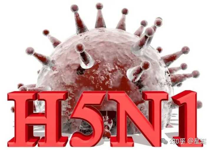 后疫情时代，面对随时来袭的X病毒，你会如何应对并保持持久的健康？ - 知乎
