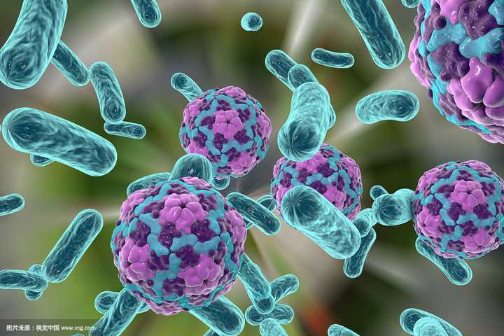HIV病毒在侵染细胞的时候，蛋白质外壳为什么会进入细胞？ - 知乎