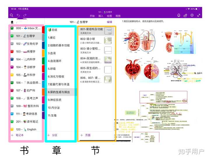 OneNote 做出来的笔记颜值能有多高？ - 知乎