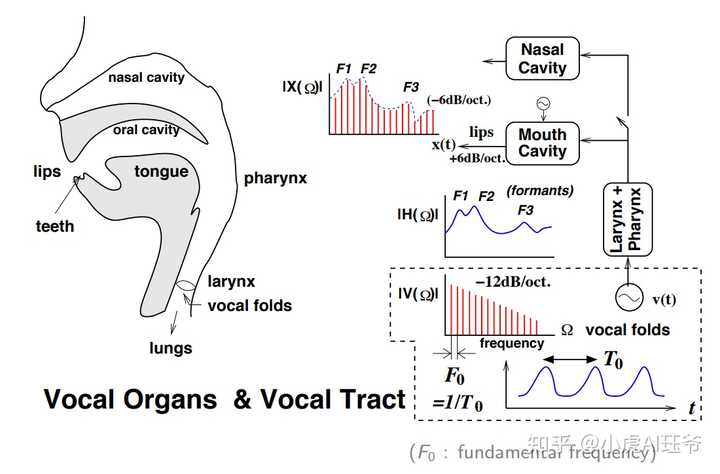 librosa.feature.mfcc()提取的特征如何理解？ - 知乎