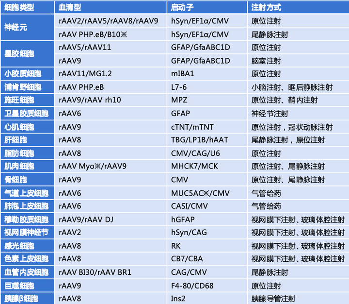 AAV血清型有哪些？怎么选？ - 知乎