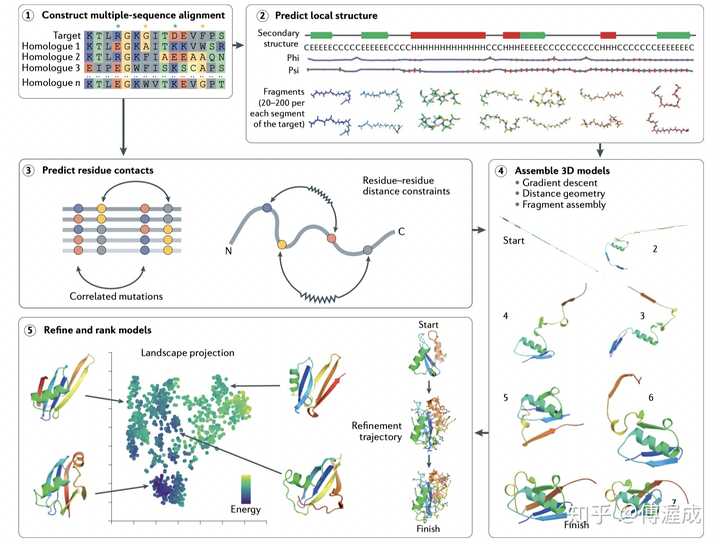AlphaFold2 解决了蛋白质结构问题吗？DeepMind 解决这项生物学五十年难题有何重大意义？ - 知乎