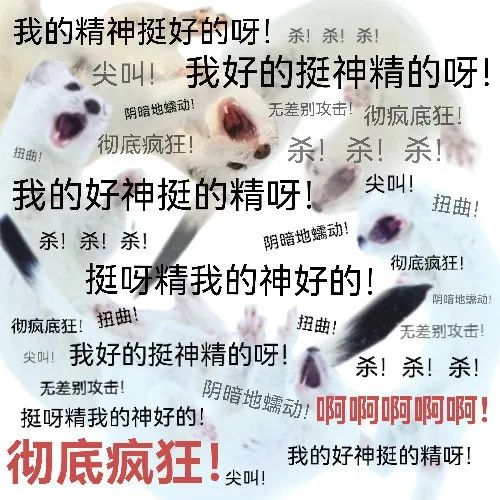 友友们，有没有发疯发癫的表情包? - 知乎