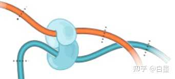 3C，4C，5C以及HiC测序技术都有些什么不同？ - 知乎