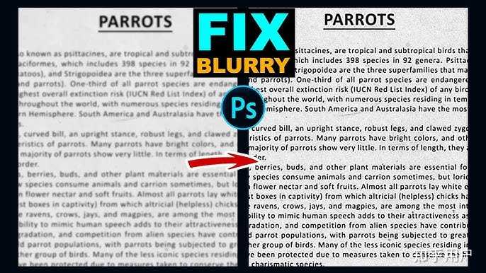 如何可以将一张照片上模糊的字变清晰？ - 知乎