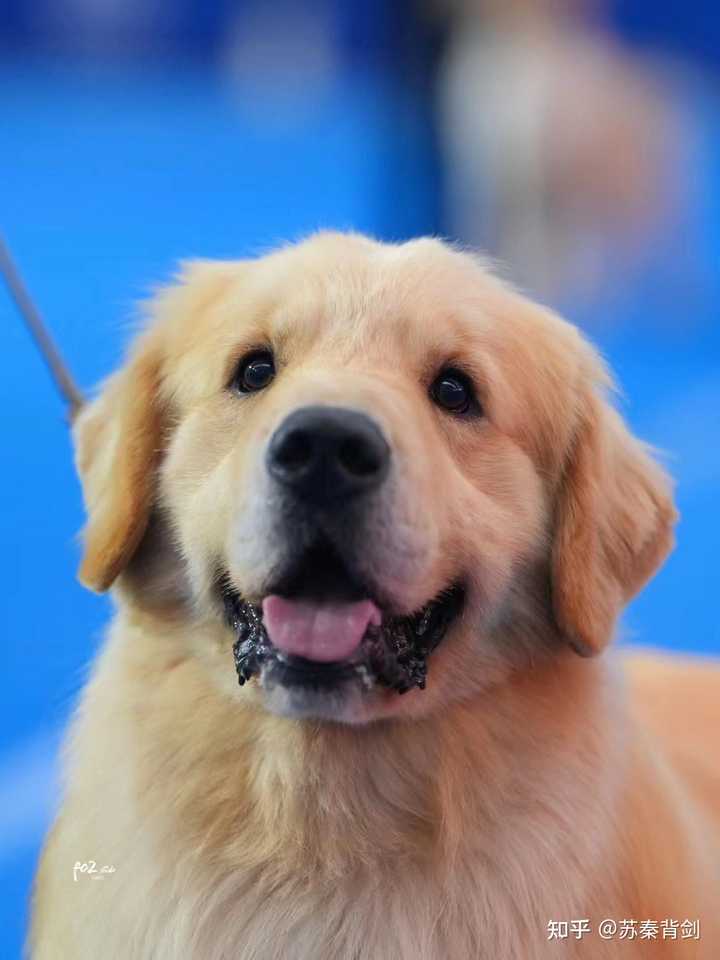 定投纳斯达克100Etf是好的投资策略吗？ - 知乎