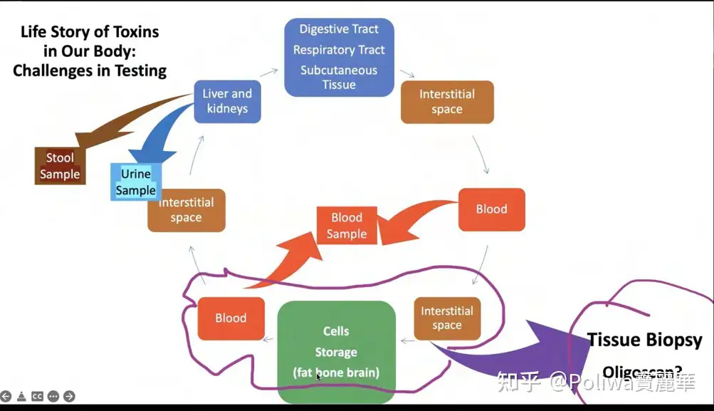 2024 Oligoscan, Spectrophotometry, & Top Trends-2024年Oligoscan分光光度法和热门趋势