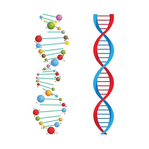 六子绘图匠 的想法: 有哪些好看的DNA画法？ | #论文插图# #科… - 知乎