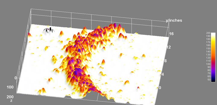 Imagej图像处理实践（ImageJ学习-图像处理 545367350） - 知乎