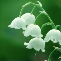 BEV (Bird's Eye View)感知 - 知乎