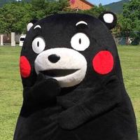 RECL: Responsive Resource-Efficient Continuous Learning for Video Analytics - 知乎