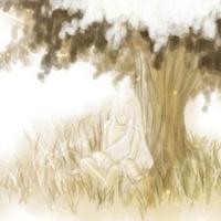 fenice's saul tree - 知乎