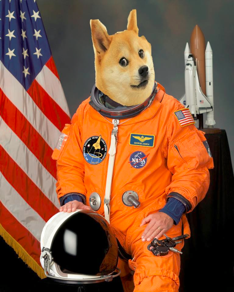 为何那条名为「Doge」的狗传播如此广泛？ - 知乎