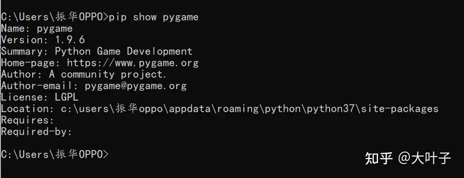 Python安装第三方库小技巧：一分钟学会pip的安装与使用！ - 知乎