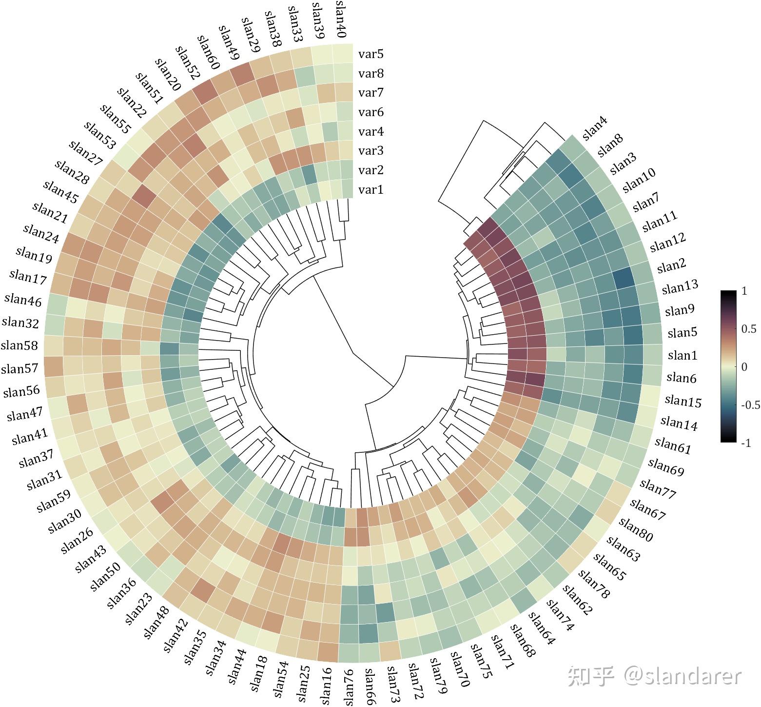MATLAB | 绘图复刻(五) | 带树状图的环形热图 - 知乎