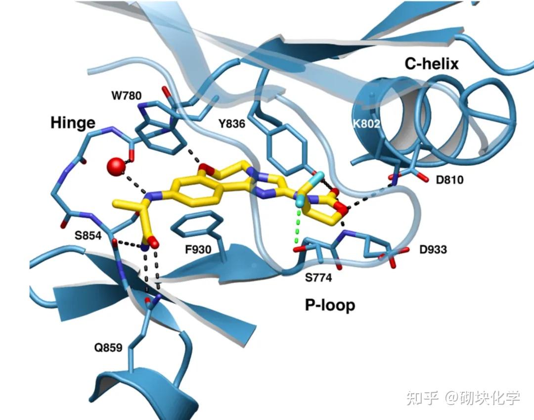 PI3Kα抑制剂｜获FDA和NMPA批准的新型口服药Inavolisib｜罗氏治疗乳腺癌新突破 - 知乎