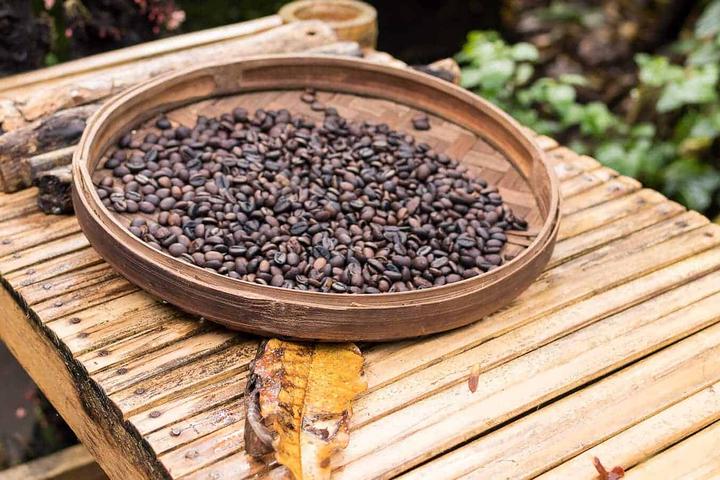 关于印尼咖啡的那些事儿，你知道多少？ - 知乎