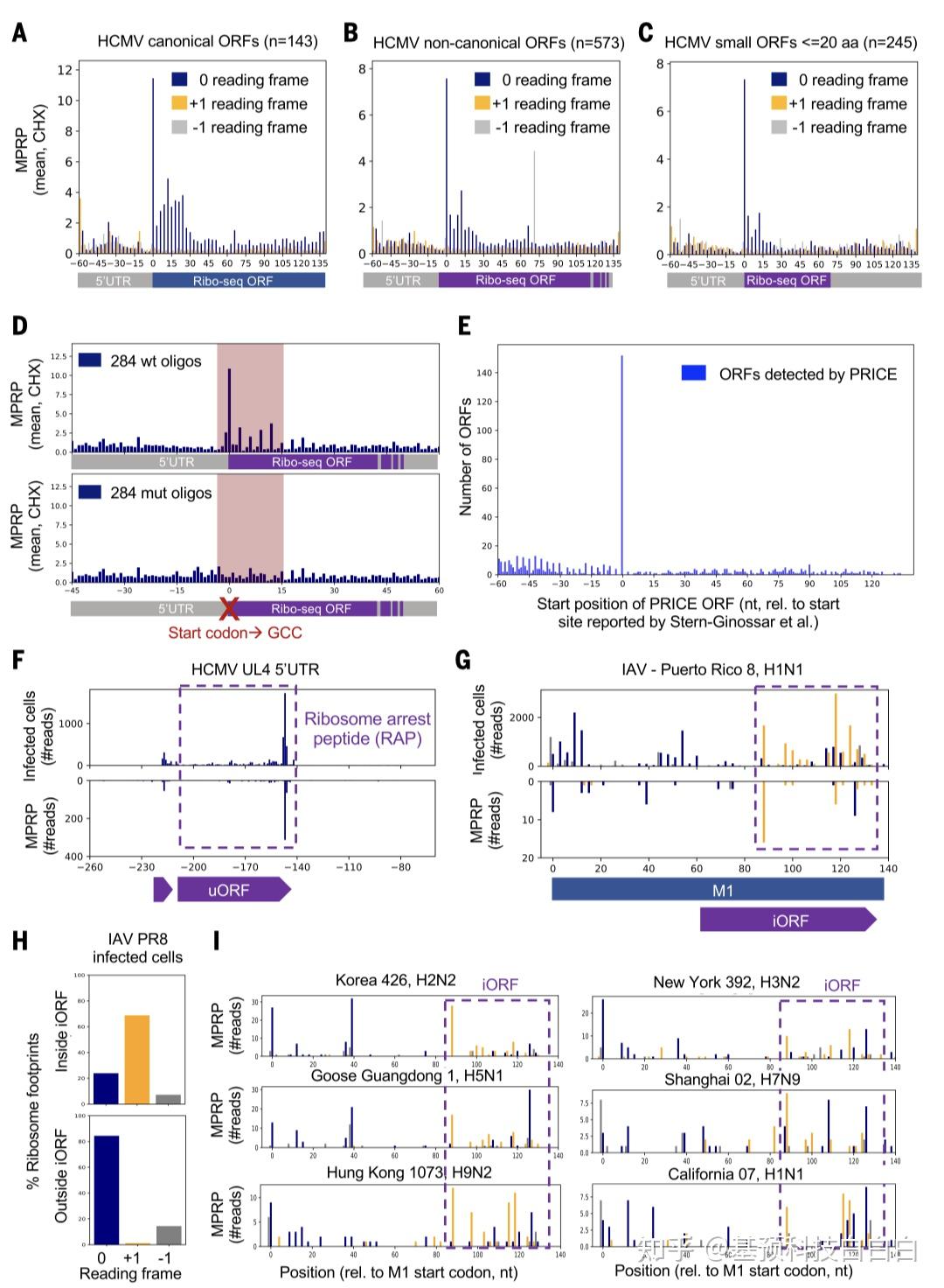 利用高通量核糖体谱系分析发现泛病毒开放阅读框（ORFs） - 知乎