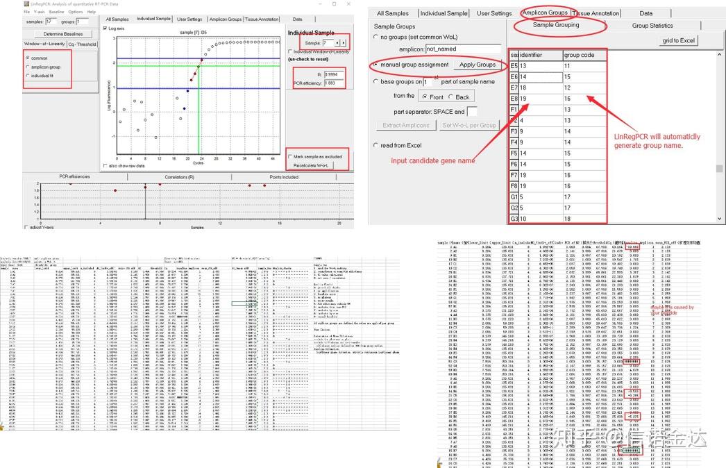 [技能分享]qRT-PCR实验及数据分析 - 知乎