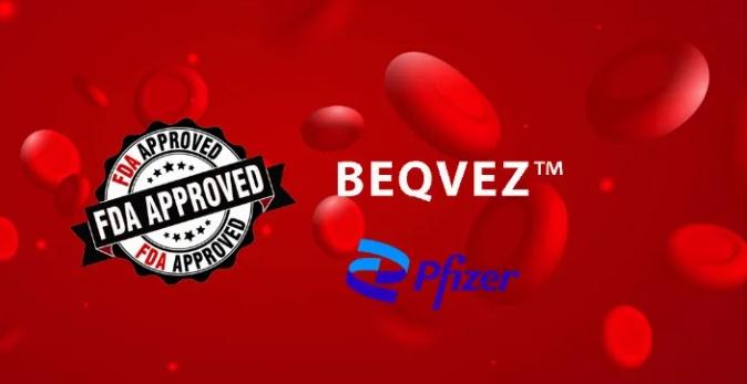 B型血友病第二种一次性基因疗法：Beqvez获FDA批准 - 知乎