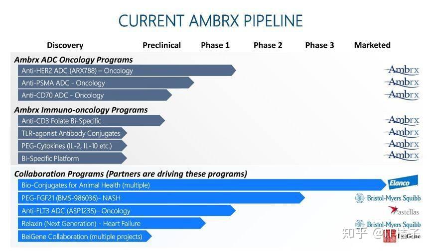 定点插入非天然氨基酸，Ambrx 用精准蛋白工程助力大分子药物研发变革 - 知乎