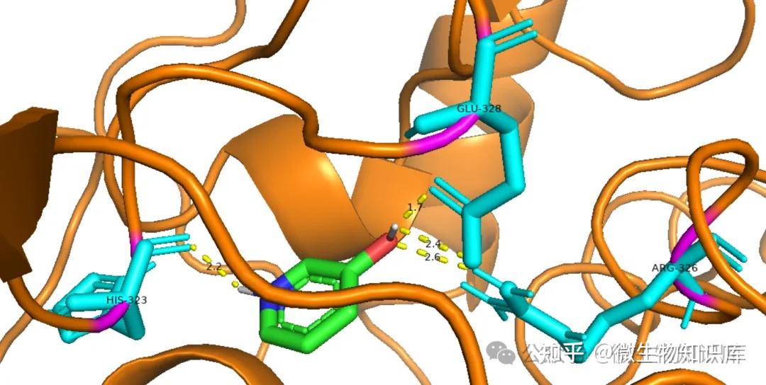 分子对接（六）：PyMol可视化分子对接结果详细教程 - 知乎