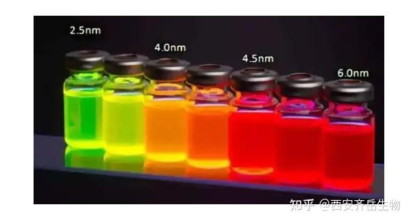 CY3-Alginate，CY3标记海藻酸钠，Alginate-CY3 - 知乎