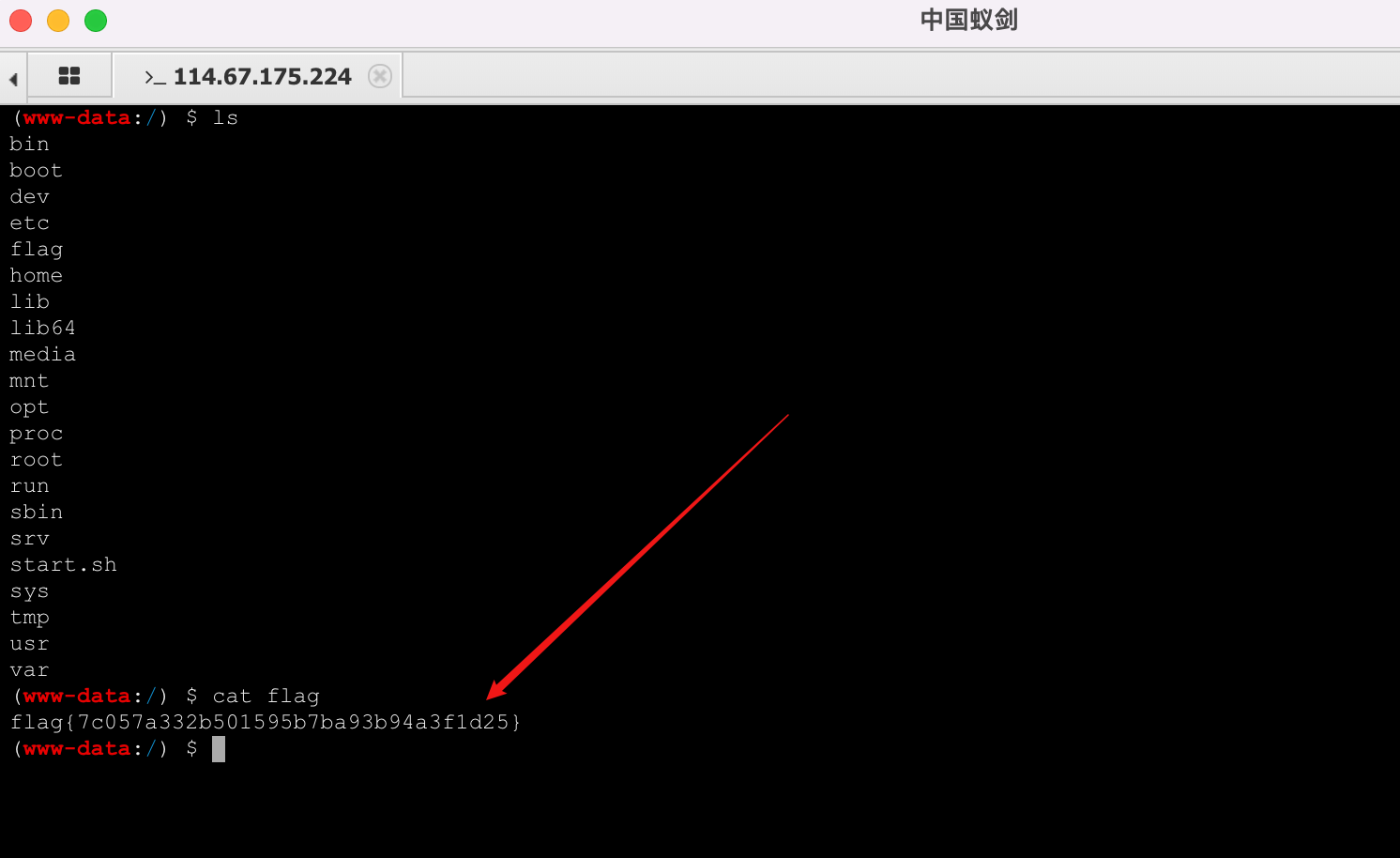 Bugku-CTF-文件上传（PHP图片马） - 知乎