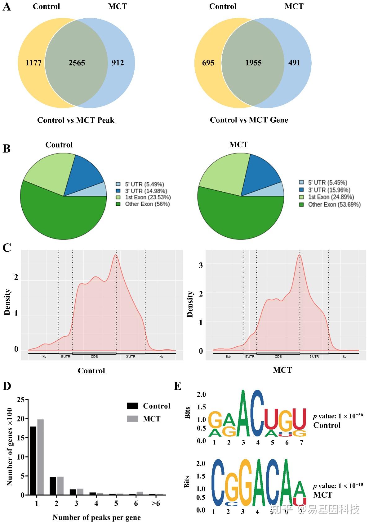 易基因：MeRIP-seq揭示m6A修饰在肺动脉高压(PAH)发病机制中的潜在作用和新治疗靶点｜项目文章 - 知乎